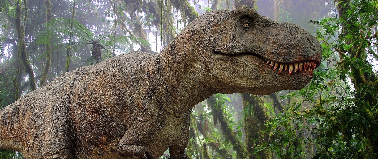 T Rex | Dearborn Public Library